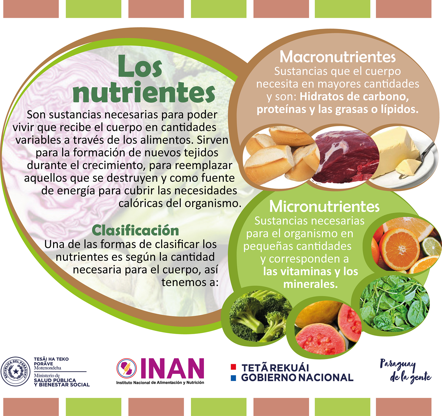 Los nutrientes y su clasificación – INAN